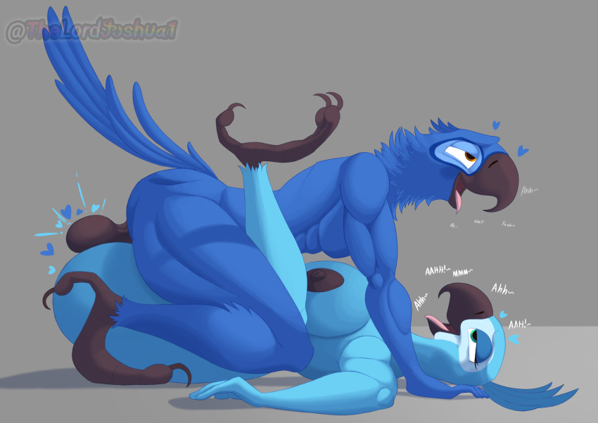 Rule 34 Absurd Res Anthro Ass Avian Avian Feet Balls Beak Big Balls Big Breasts Big Butt Bird