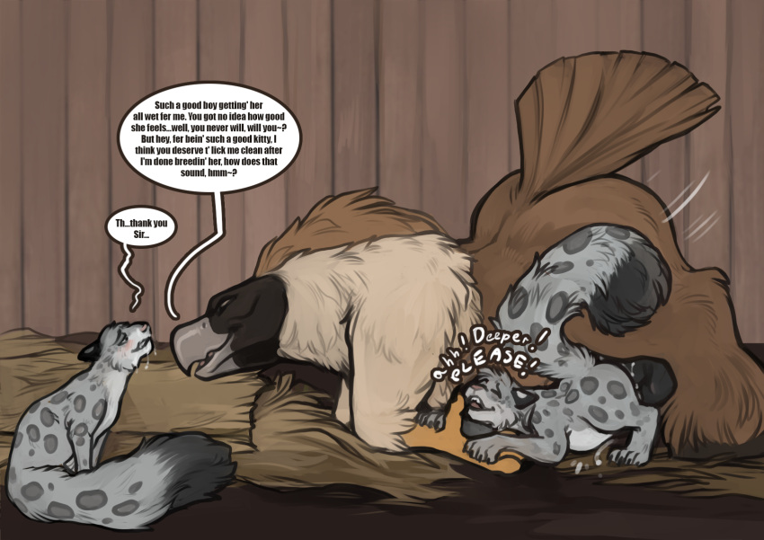 Rule 34 Accipitrid Accipitriform Avian Balls Big Dom Small Sub Bird