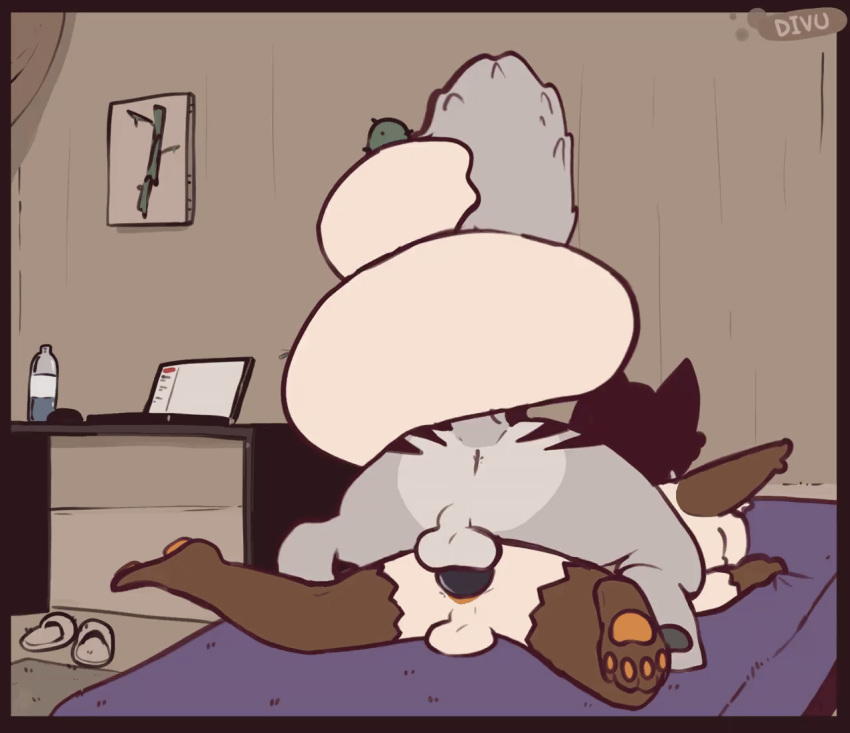 Rule 34 Anal Anal Sex Animated Anthro Anus Bed Biped Brown Body Brown Fur Detailed Background
